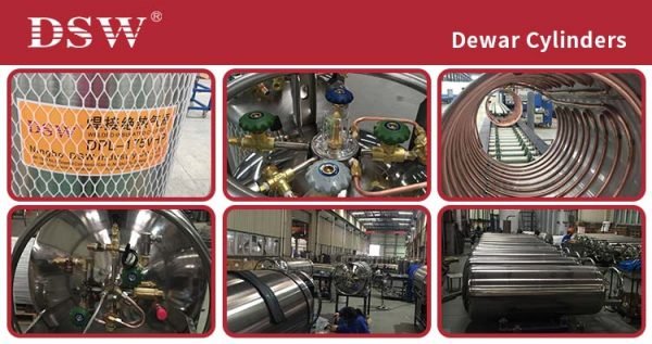 Cryogenic Liquid Container, Liquid Cylinder | DSW