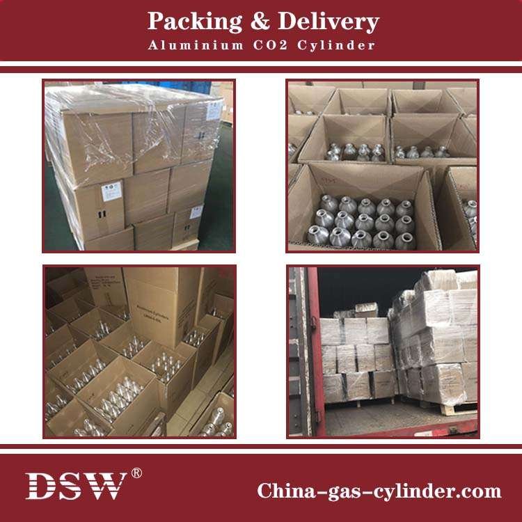Co2 cartridge, Beverage CO2 cylinders-DSW