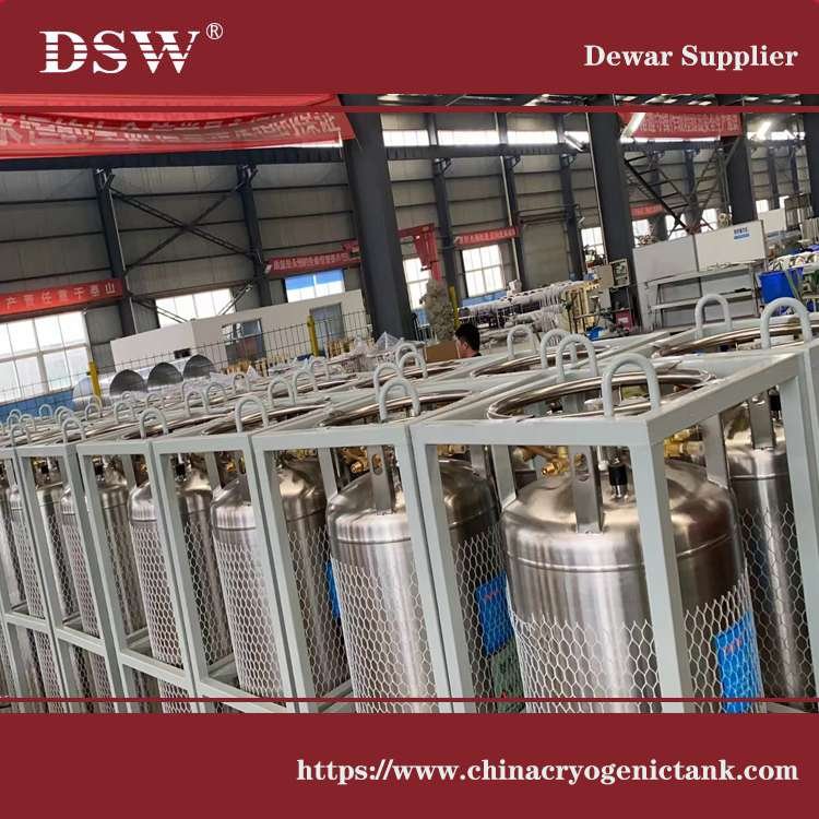 about us- DSW nitrogen dewar